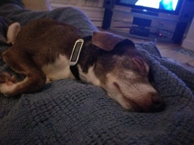 Interview: Cinemonster - Merry-Go-Round Magazine