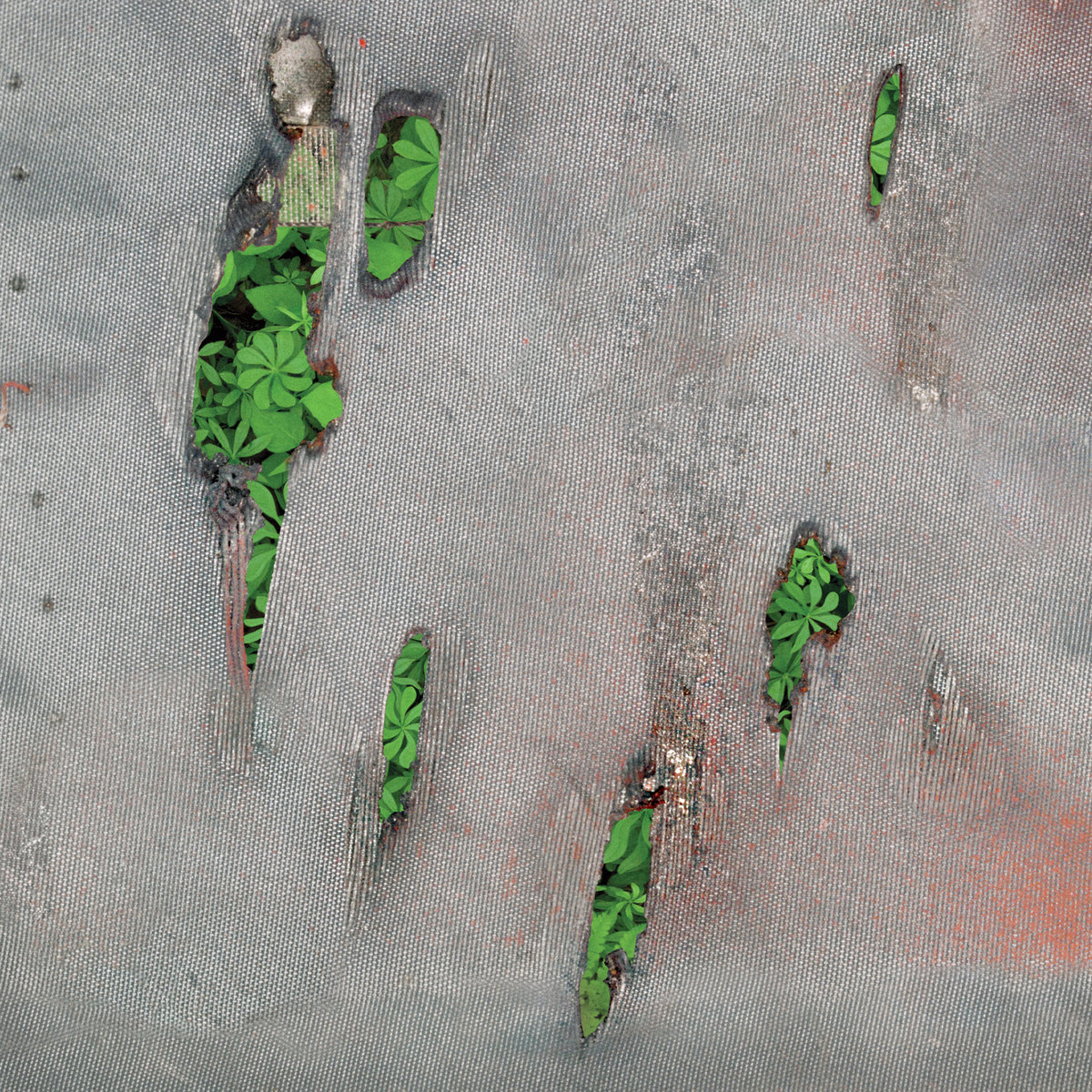 With The Vibrant AGOR, Koreless Proves To Be Peerless - MGRM